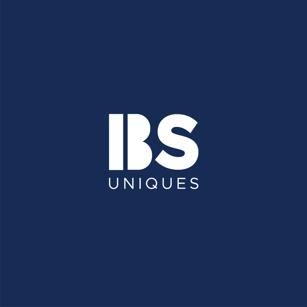 BS Uniques - Webagentur aus Leipzig, Webdesign & Marketing